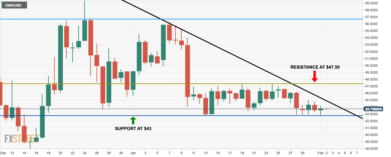 XMR/USD: Bulls try to fight back as overall market remains bearish ...