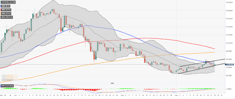Litecoin (LTC) gets back to the lower border of the channel - where ...
