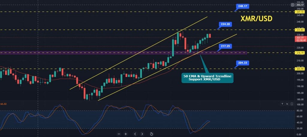 Monero Price Forecast: XMR's Buy Limit at $220 - Forex Crunch