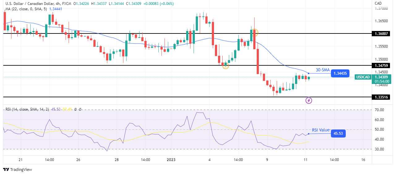 USD/CAD Forecast: Dollar Holds Steady Ahead of US CPI - Forex Crunch
